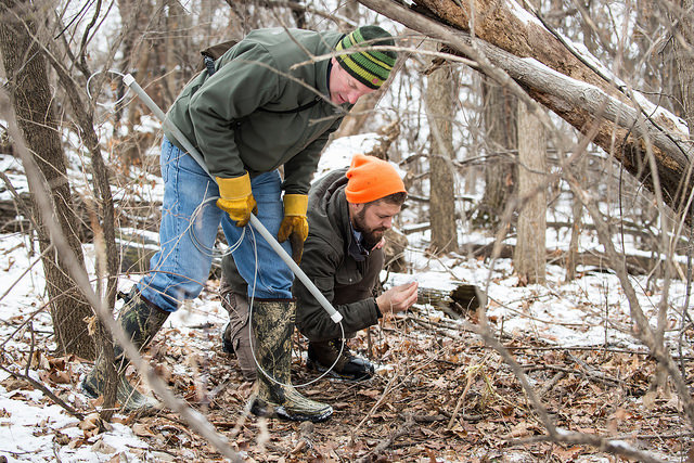 Graduate Study – Overview – Forest and Wildlife Ecology