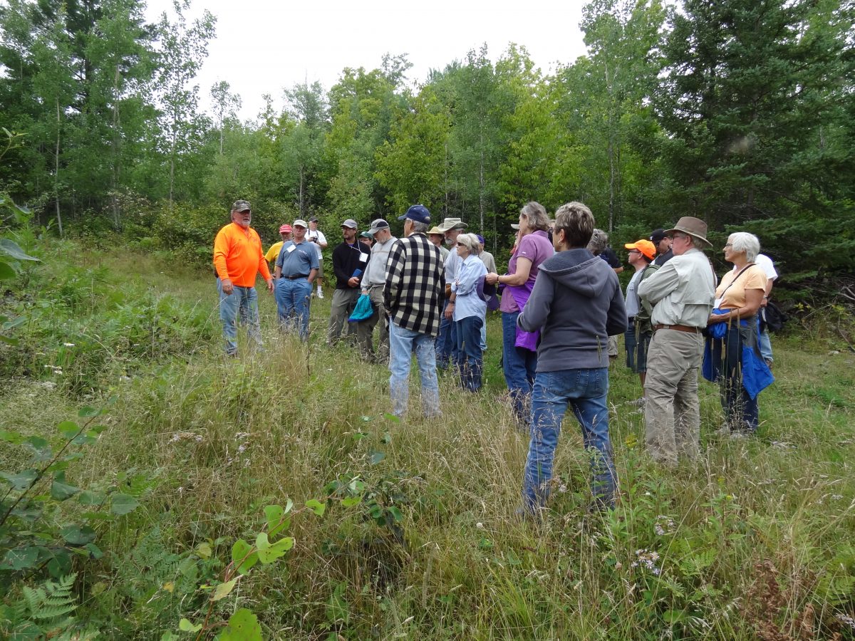 The Wisconsin Coverts Project – Forest and Wildlife Ecology